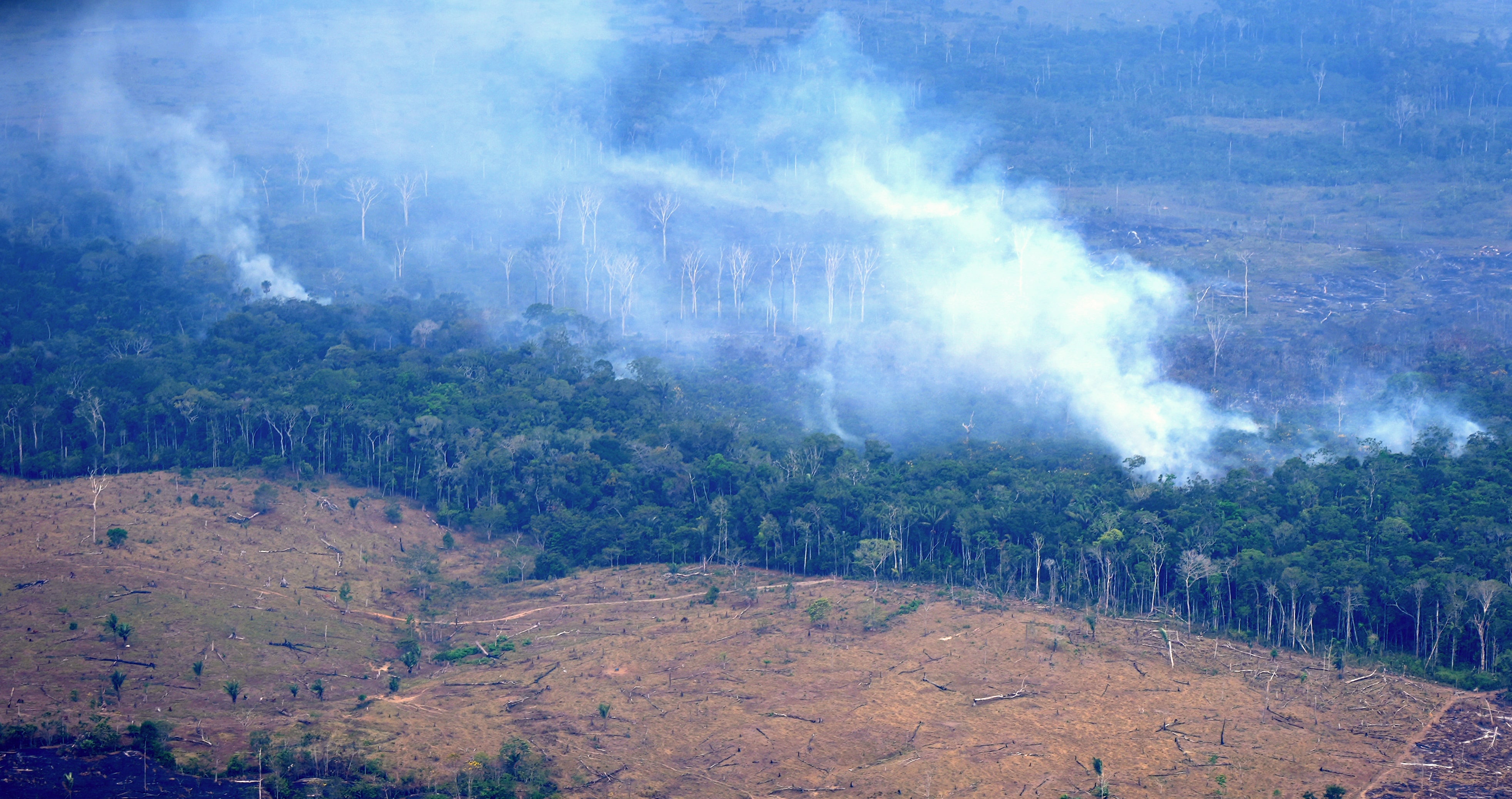 deforestacion-cartagena-chaira.verdadabierta.com